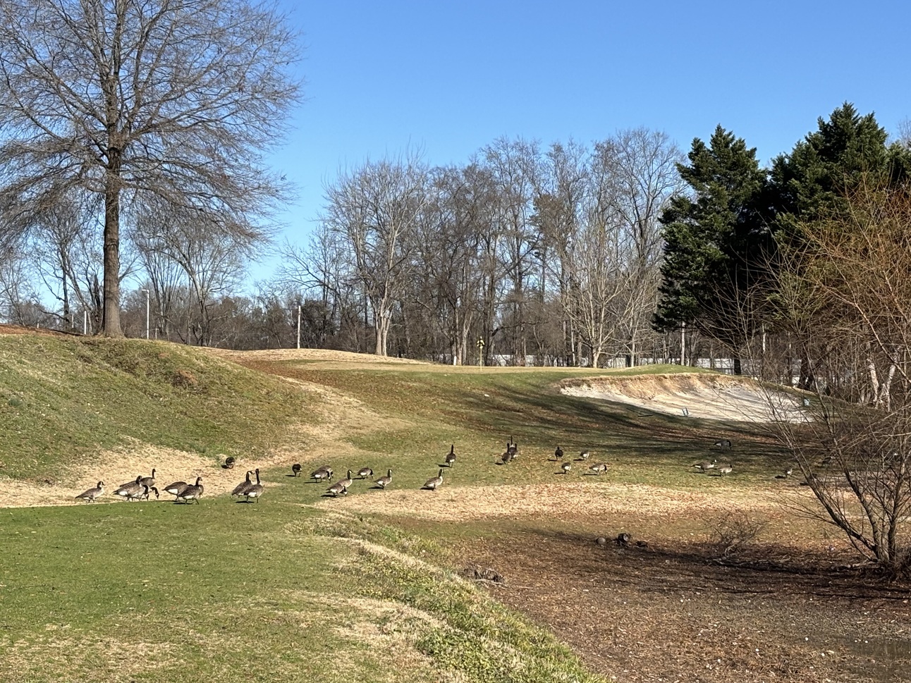 Charlotte's Most Underrated Golf Facility?