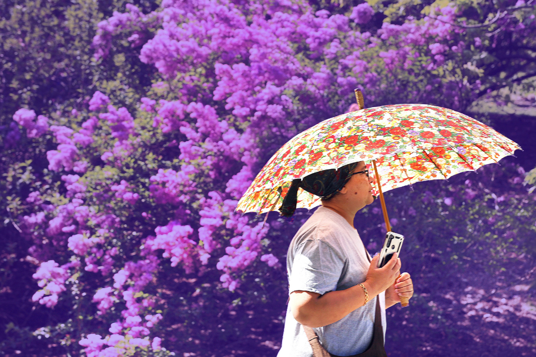 🤑 Freebies to ring in spring