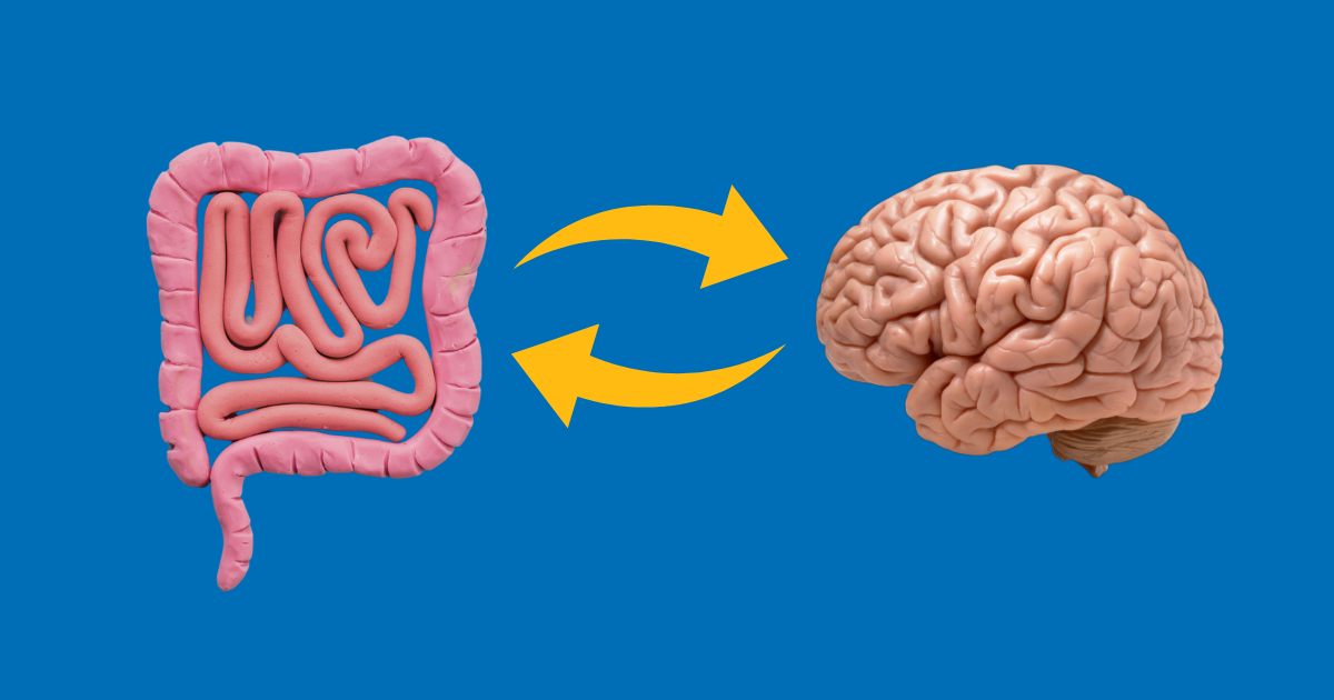 🌟 The Secret Link Between Your Gut and ADHD Symptoms (And How to Fix It!)