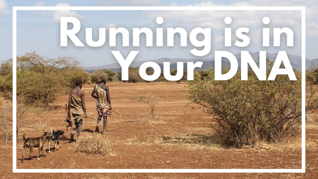 The Anthropology of Running