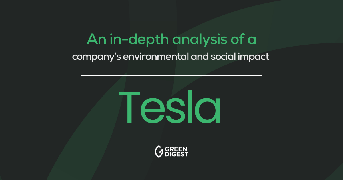 Evaluating a company's impact (the case of Tesla)