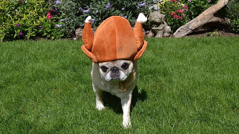 Bernie Sanders Wants to Talk to CEOs About US vs ROW Pricing. Bring It ...