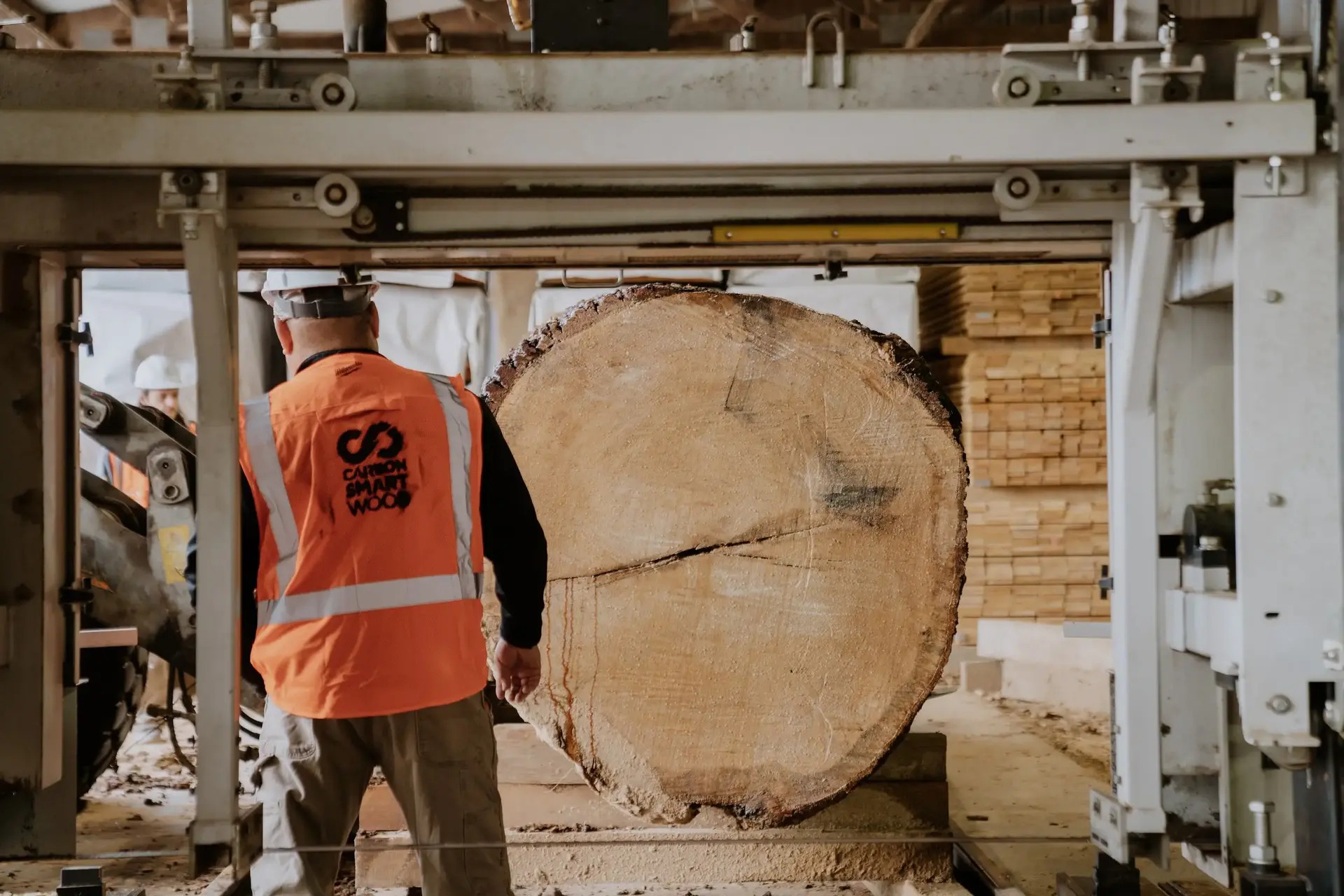 🌐 Millions of Urban Trees Are Discarded—Cambium Builds Them a New ...