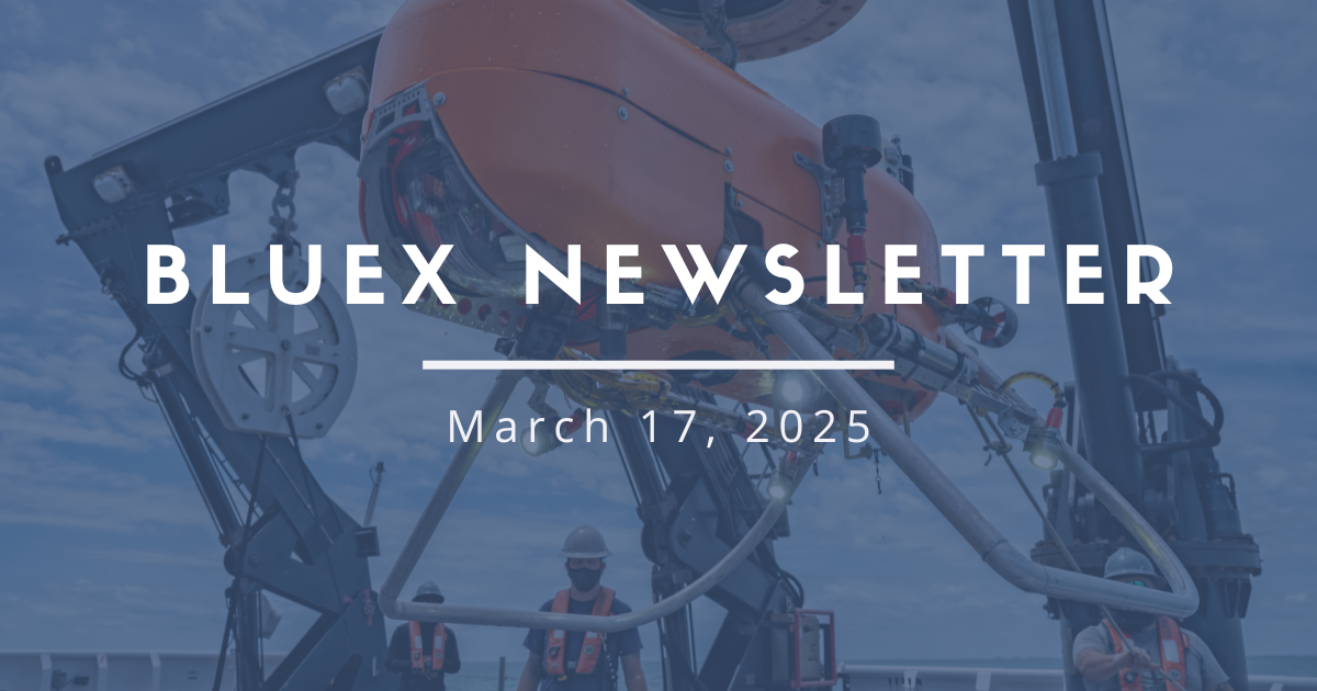 An Interview With Orpheus Ocean’s CEO, Wave Energy and Brine Processing