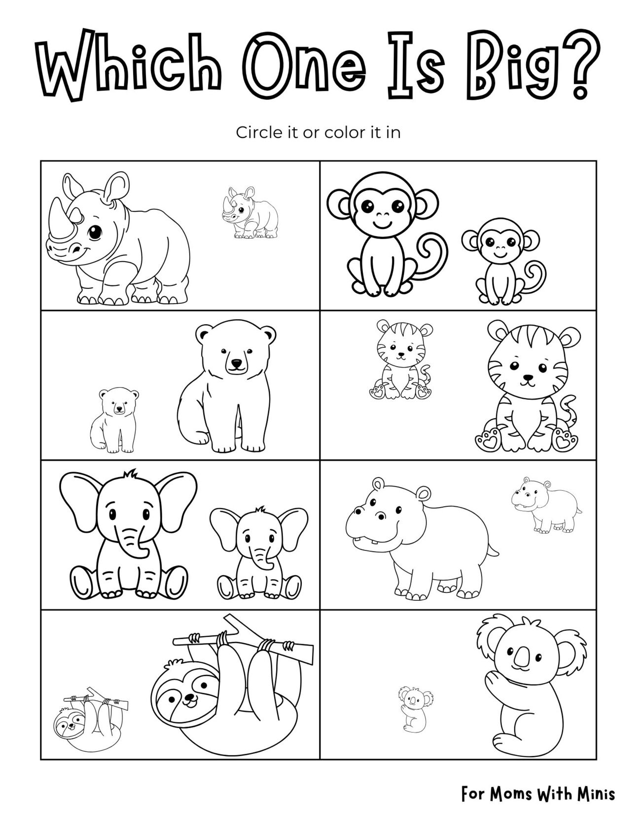 Zoo Animals Big and Small