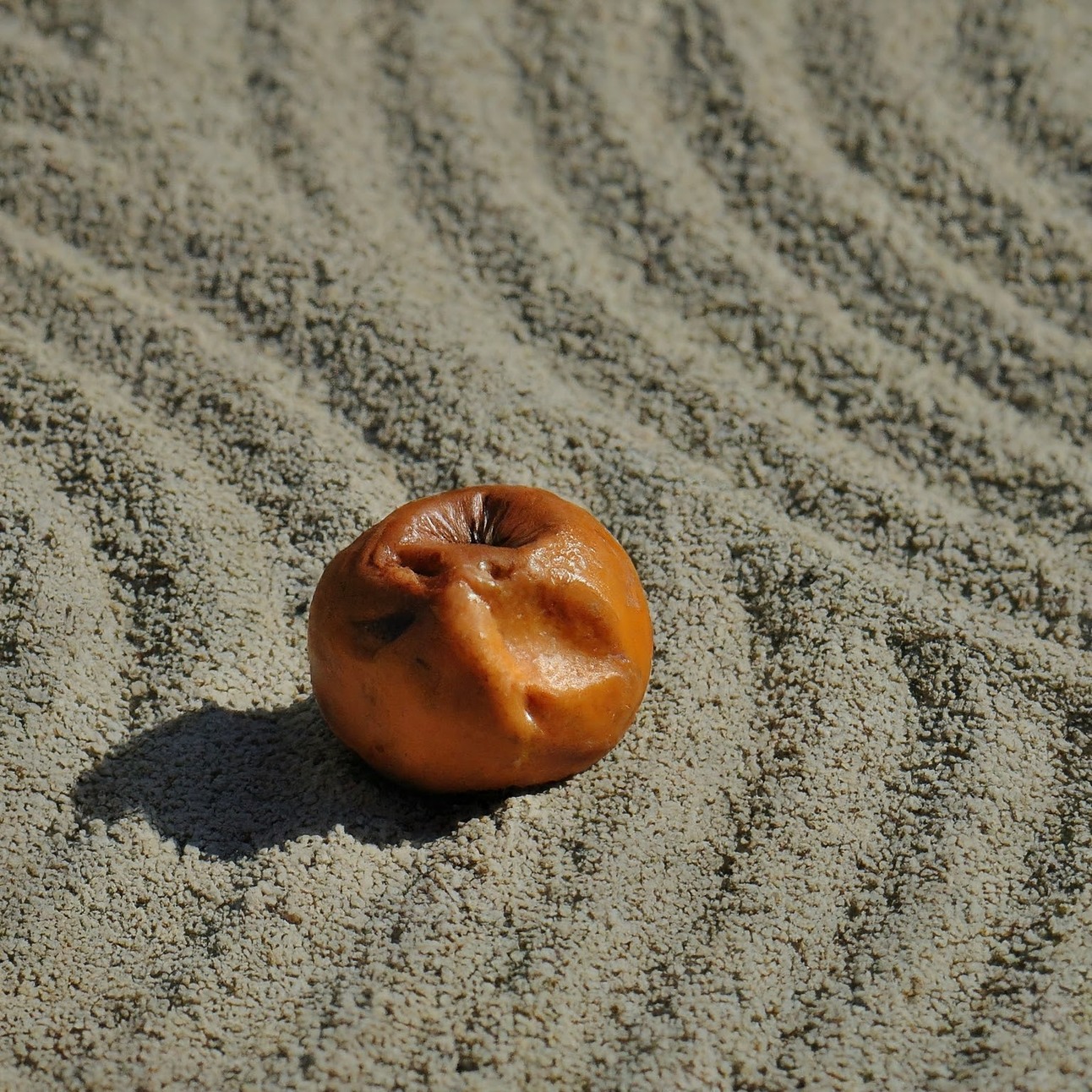 The Power of Letting Go: A Fresh Perspective on Revenge