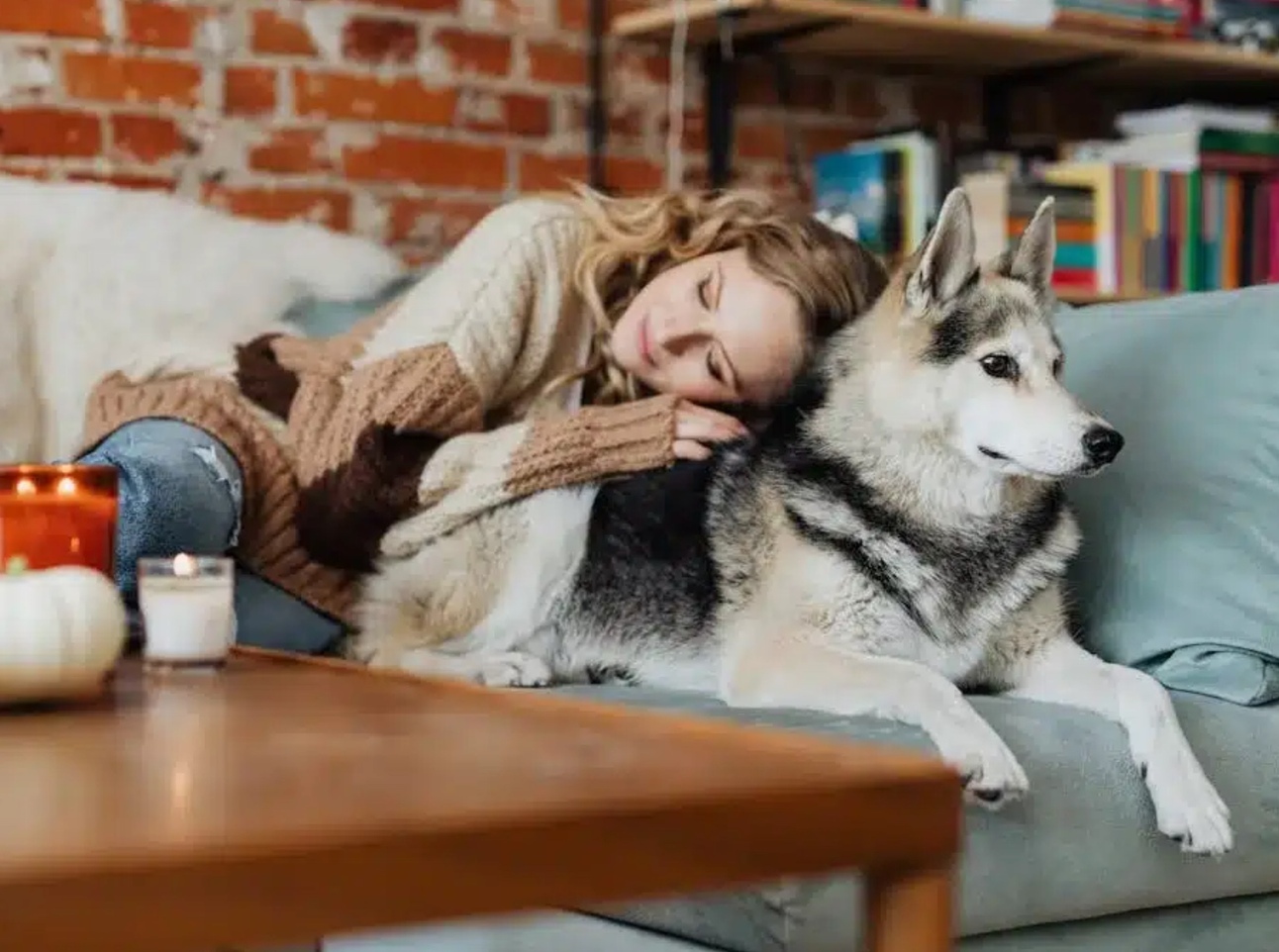 Dogs & Deadlines: A Guide for Owners & Busy Professionals