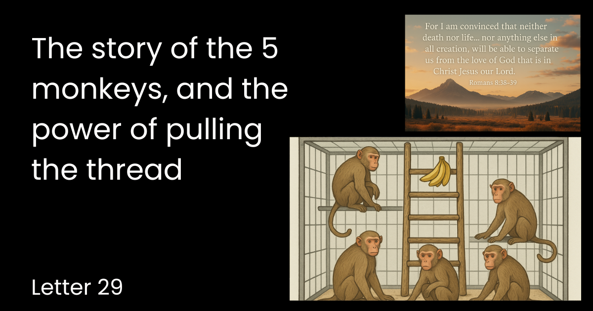 The story of the five monkeys