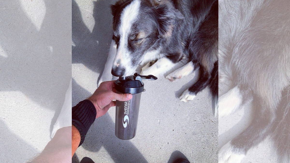 The Protein Round-Up and How to Nail Your Post Workout Routine