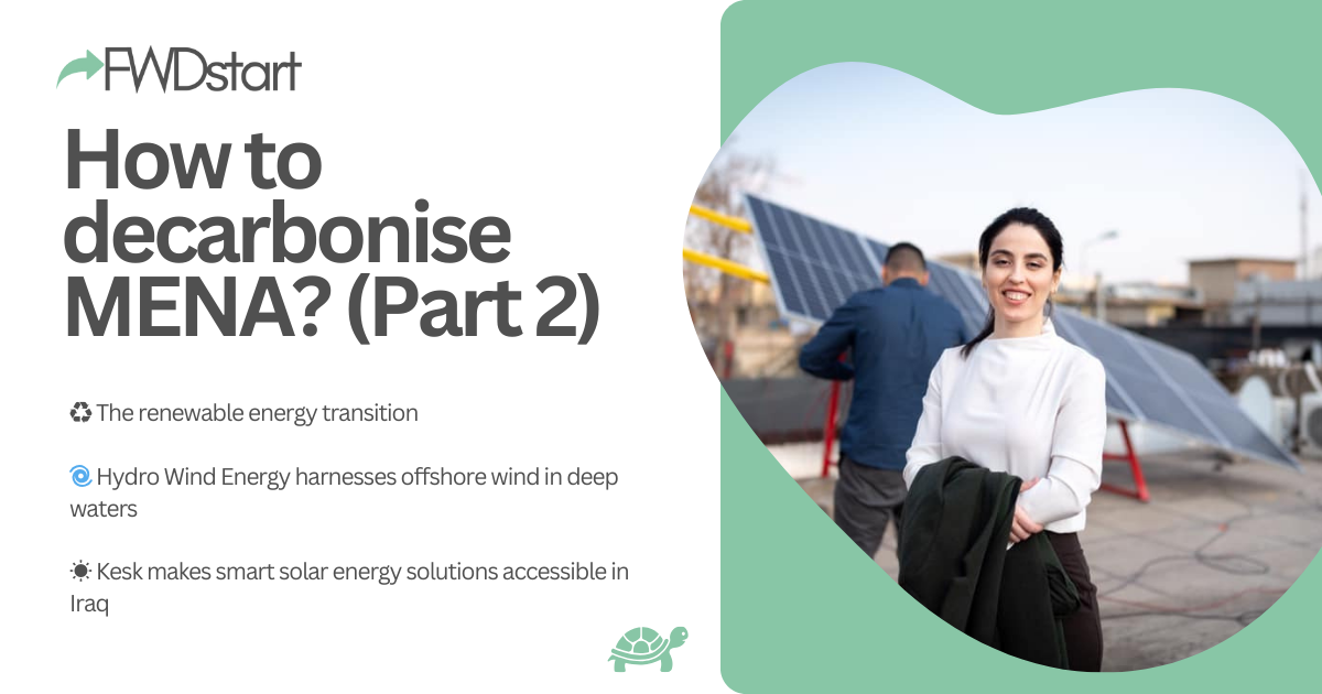 🐢 How to decarbonise MENA? (Part 2)
