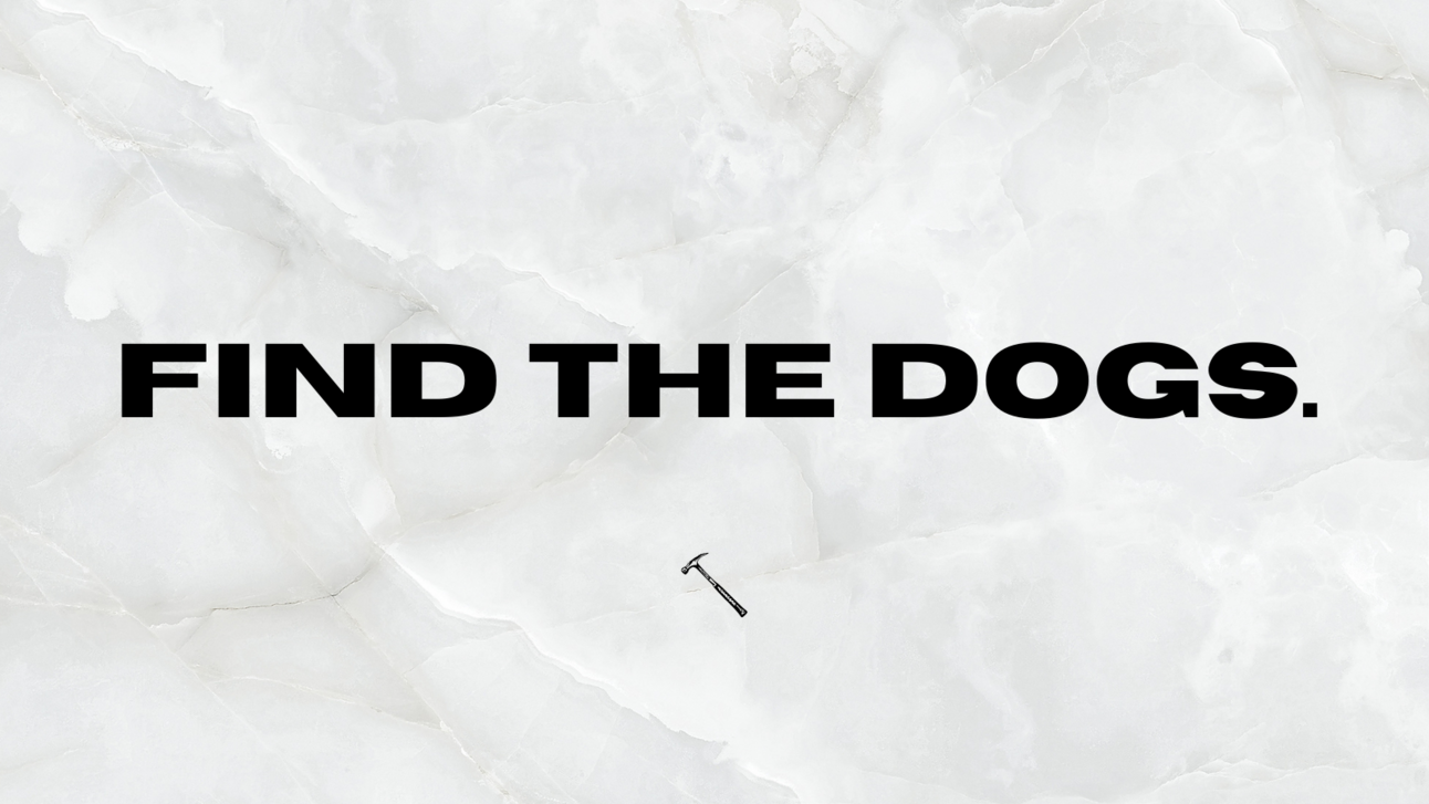 Find the Dogs