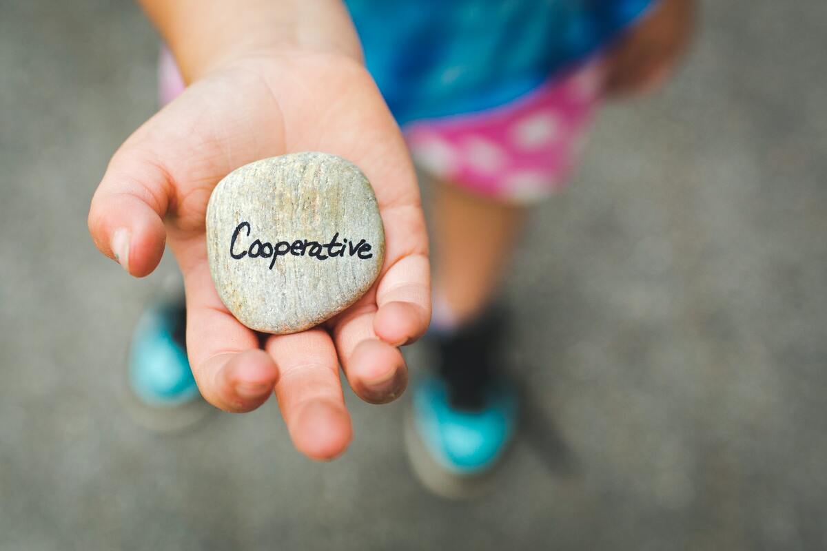 Co-operative Societies: Who gets to manage them?
