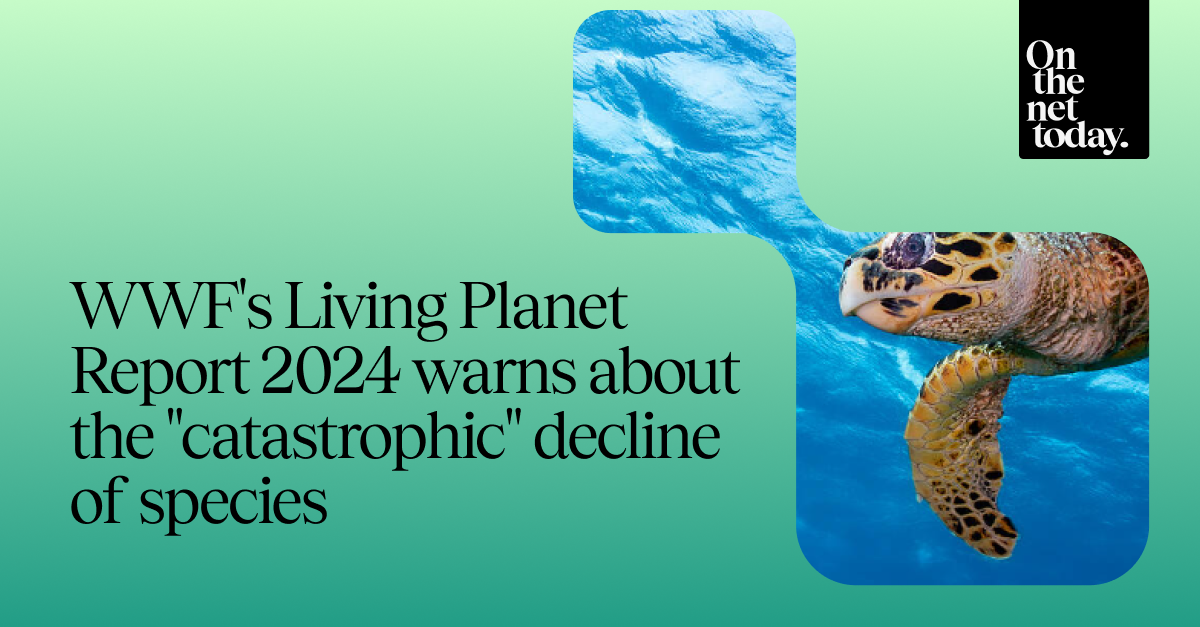 WWF's Living Planet Report 2024 warns about the "catastrophic" decline of species