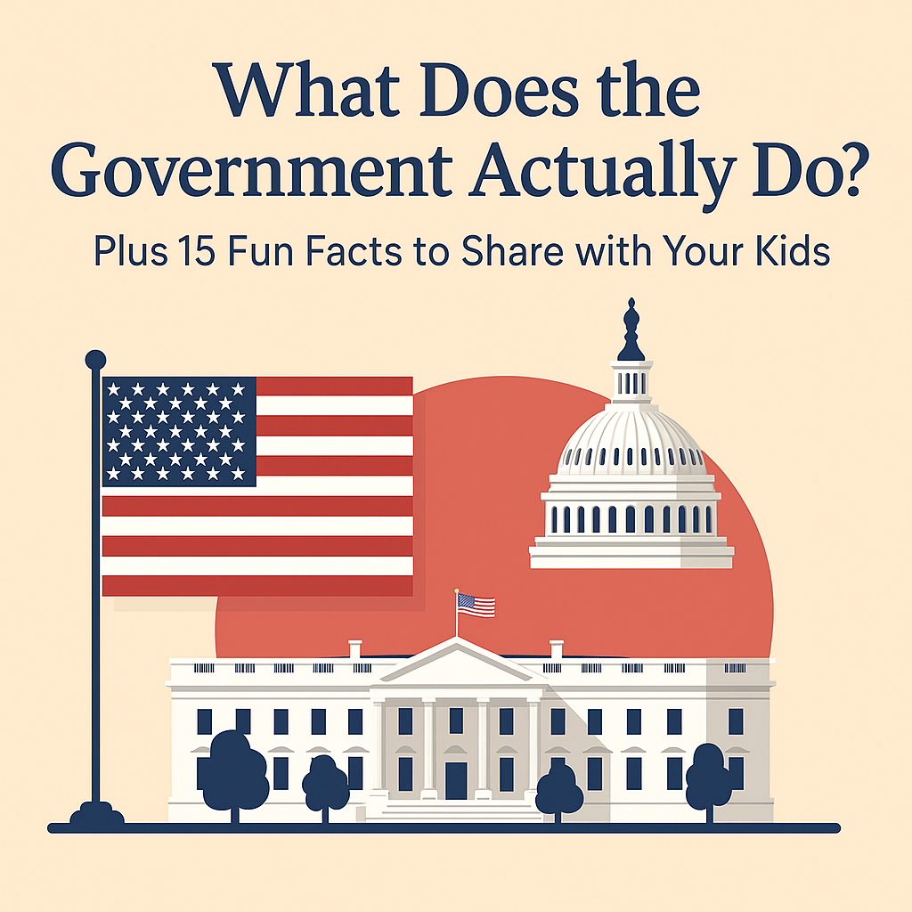 What is the Government?