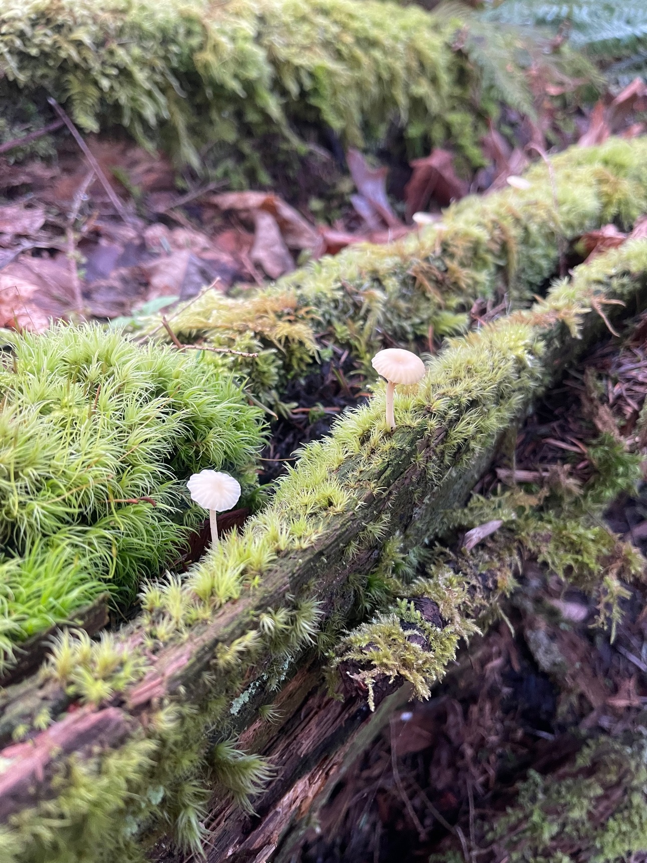 From Heart to Sole: An Update on My Running Journey (and a Little Life ...