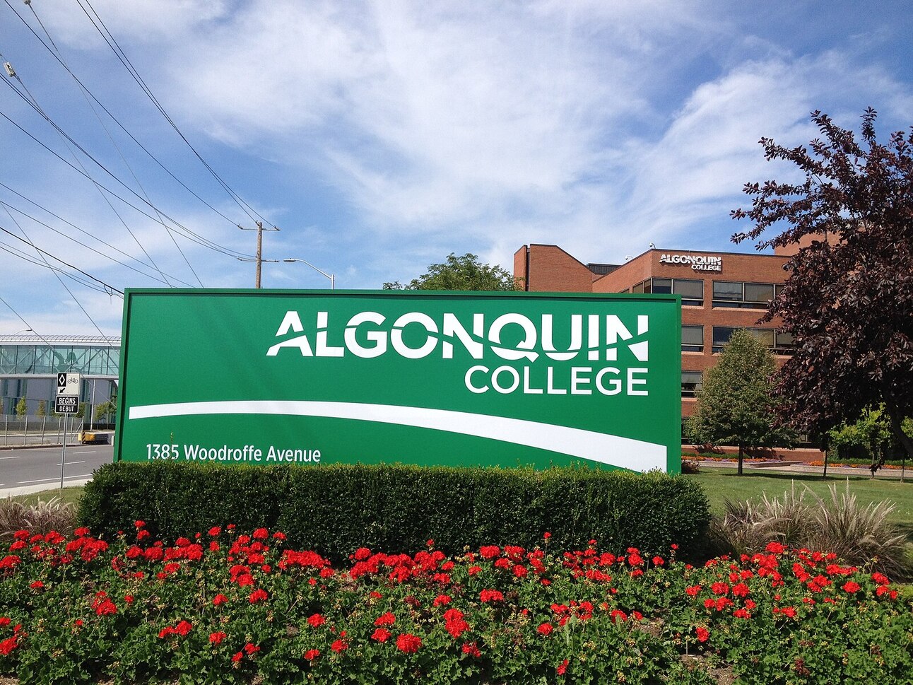 Algonquin College approves cuts to 41 courses. Here’s just how ...