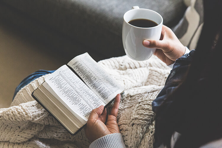 A Fresh Bible Reading Plan for the New Year