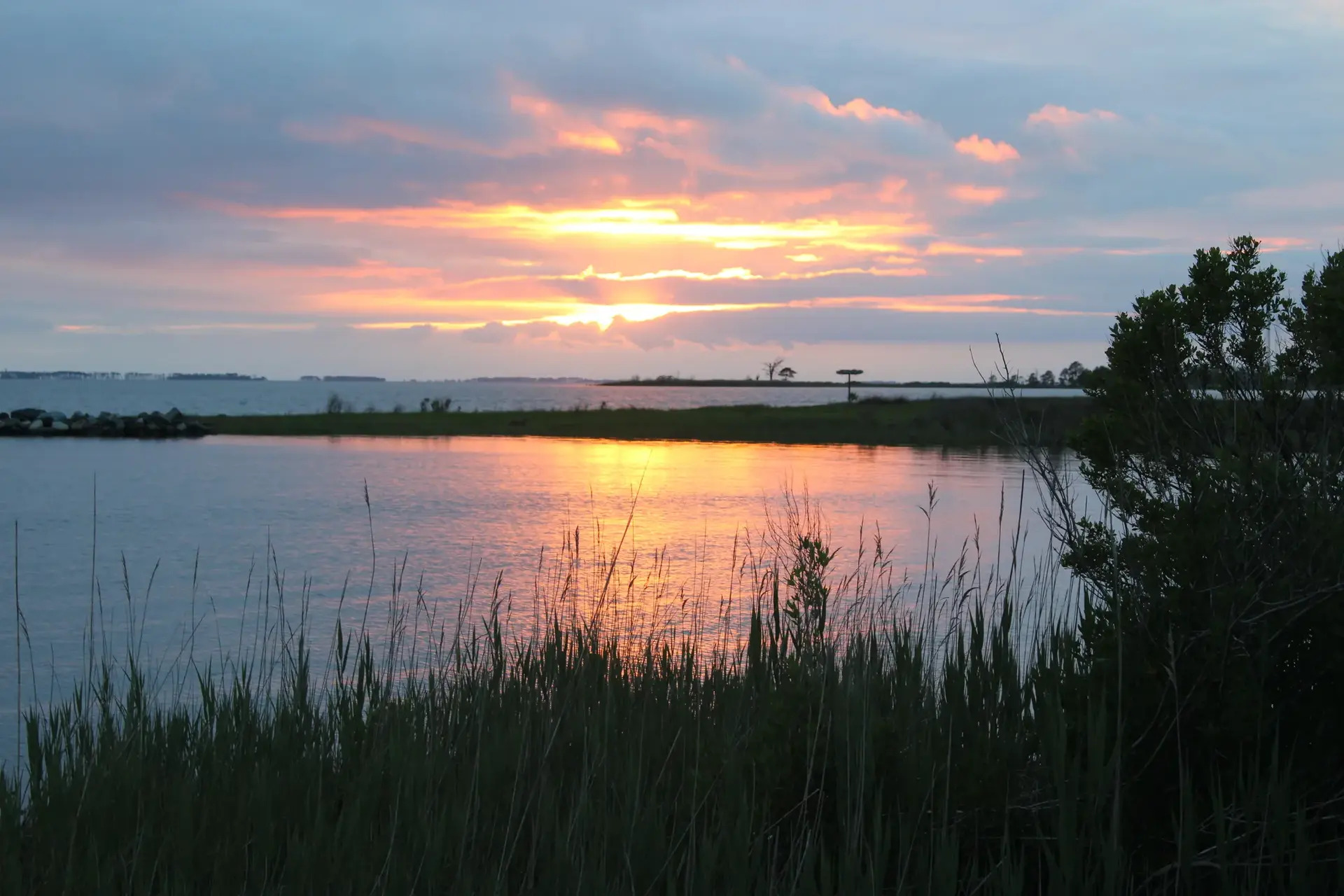 🍦Concerts Every Night? We Say Yes.