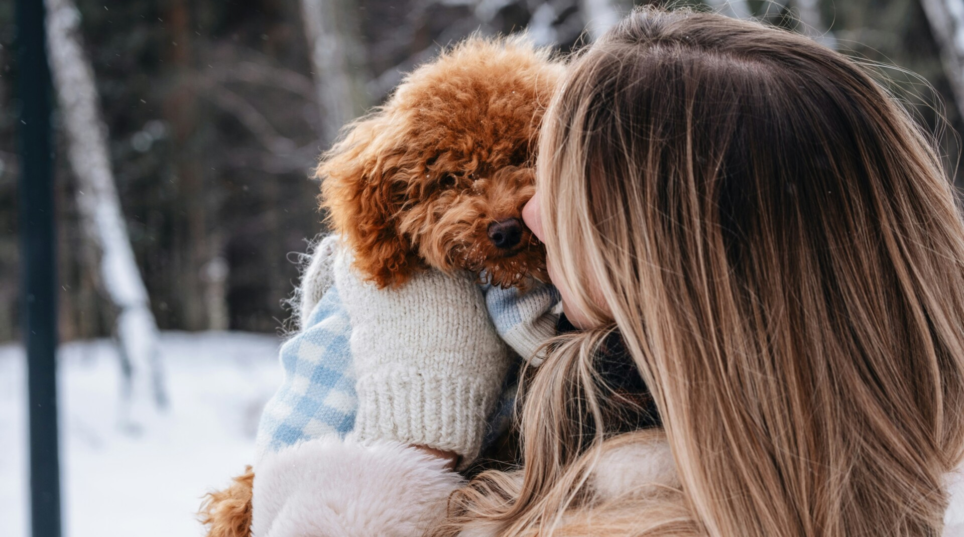 🐕 How to stop your dog's licking