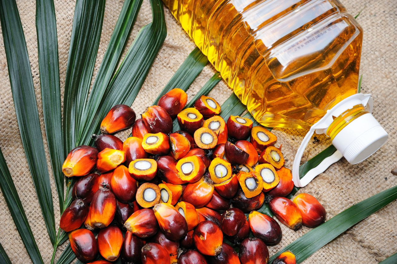 Palm Oil Industry Analysis: Is it Time to Invest in Malaysia's ...