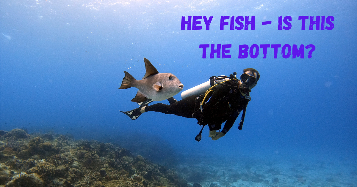 Post #8 The curious case of Benjamin "Bottom Fisher"