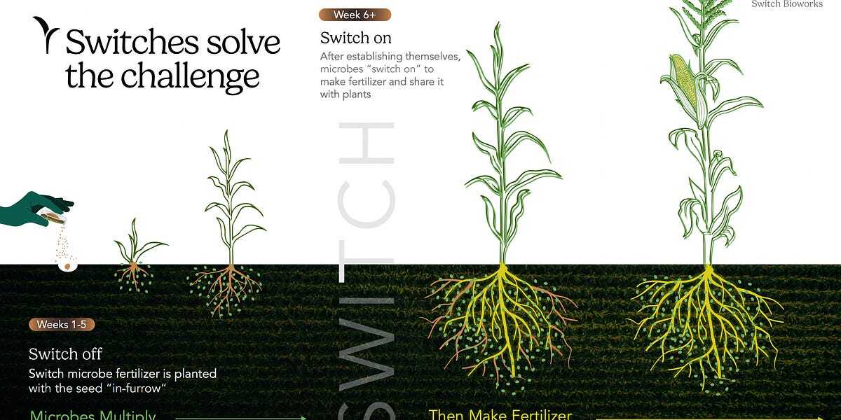 The Insight is the Edge: Switch Bioworks