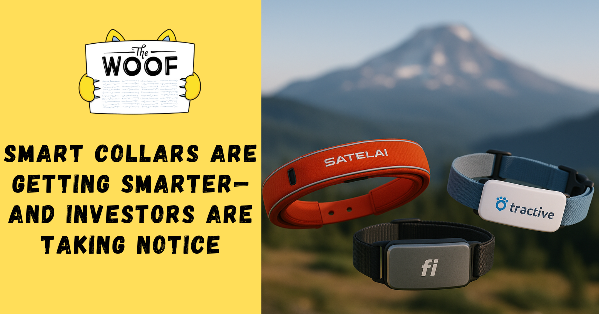 Smart Collars Are Getting Smarter—And Investors Are Taking Notice