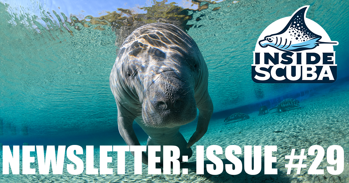 Inside Scuba Issue #29