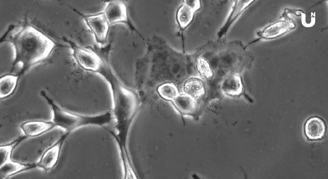 The GOP’s IVF Headache