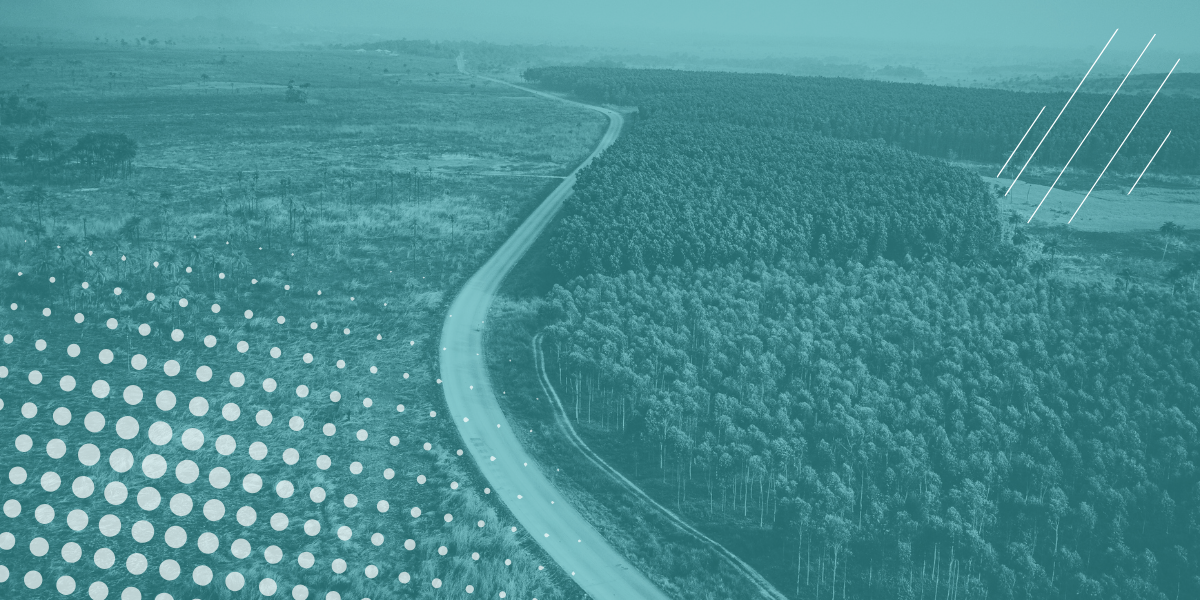 Financing Summit Boosts Debt Swaps, Trump Bill Hinders US Resilience ...