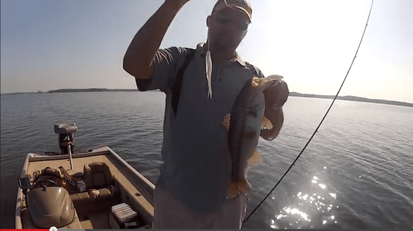 Double Fluke Rig (How To) By Gene Jensen