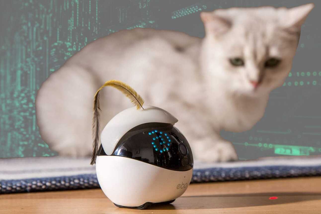 Why Robots Cannot Think