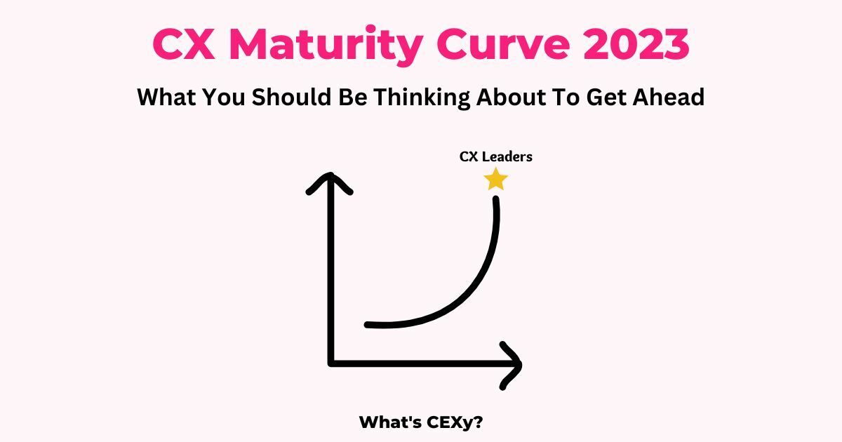 The 2023 CX Maturity Curve - What You Should Be Thinking About