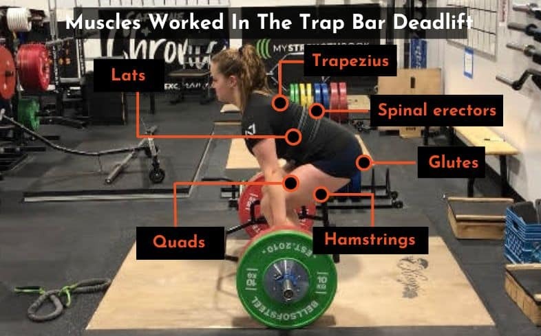 Are Deadlifts Bad for You?