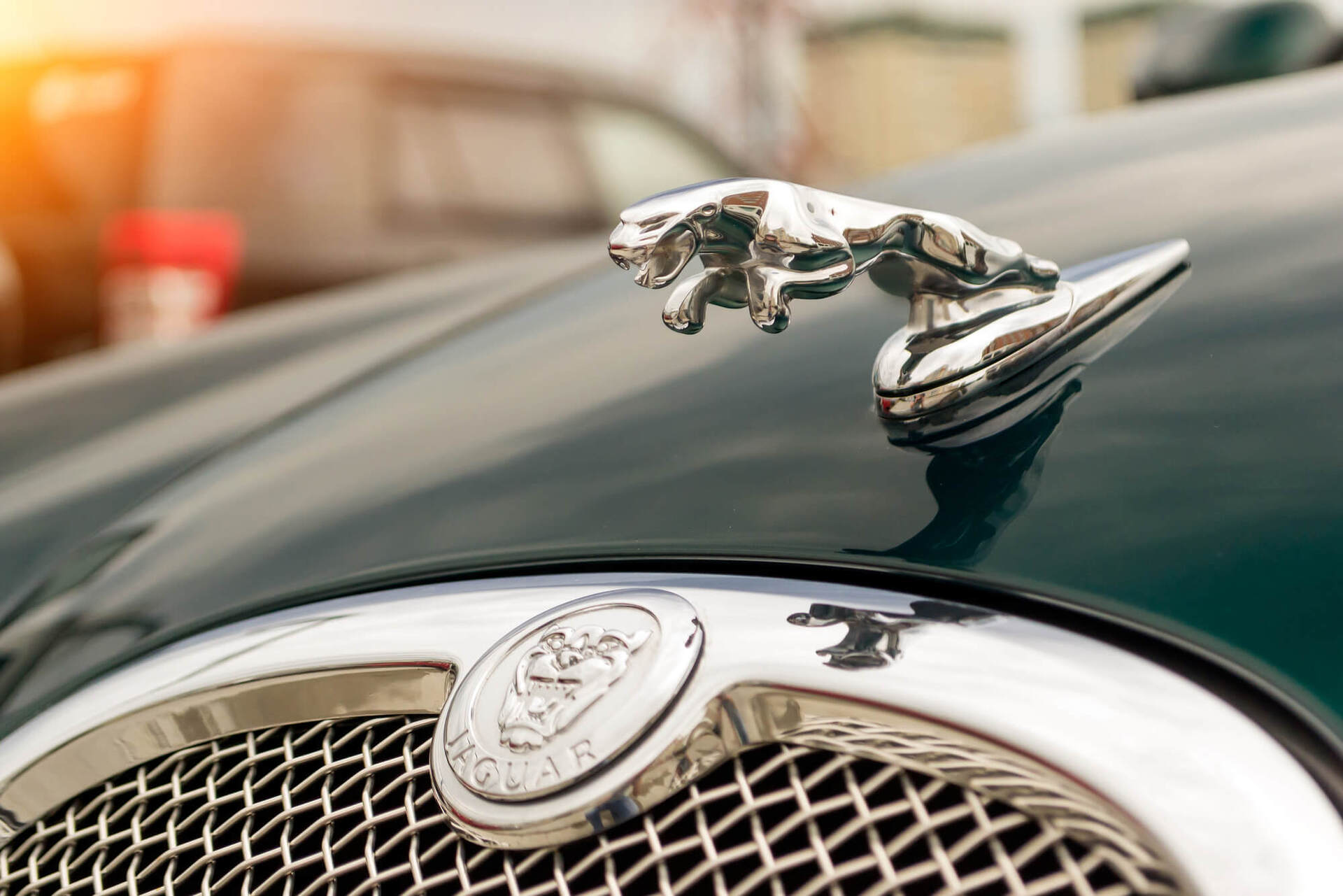 Jaguar Exec Fired After Woke Rebrand Tanks Sales by 97 Percent