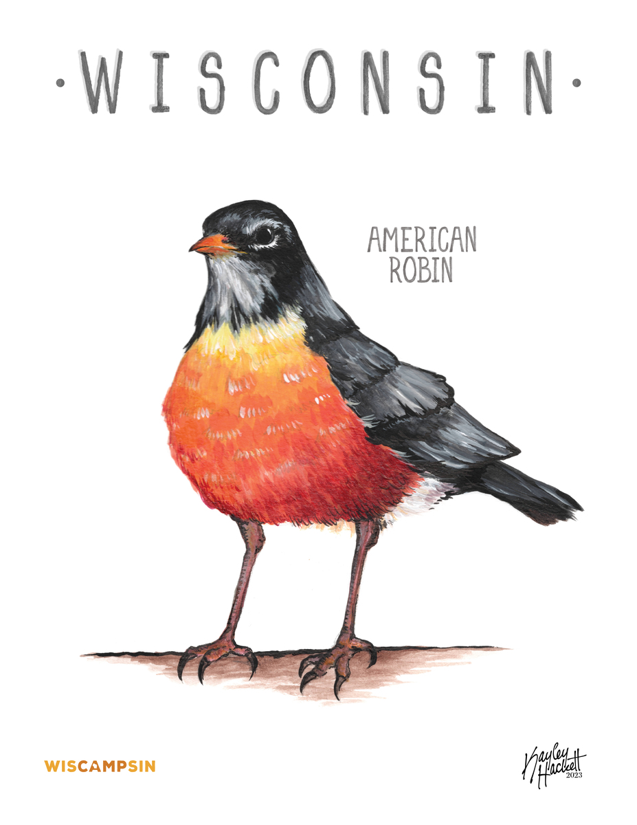 Wisconsin's State Bird