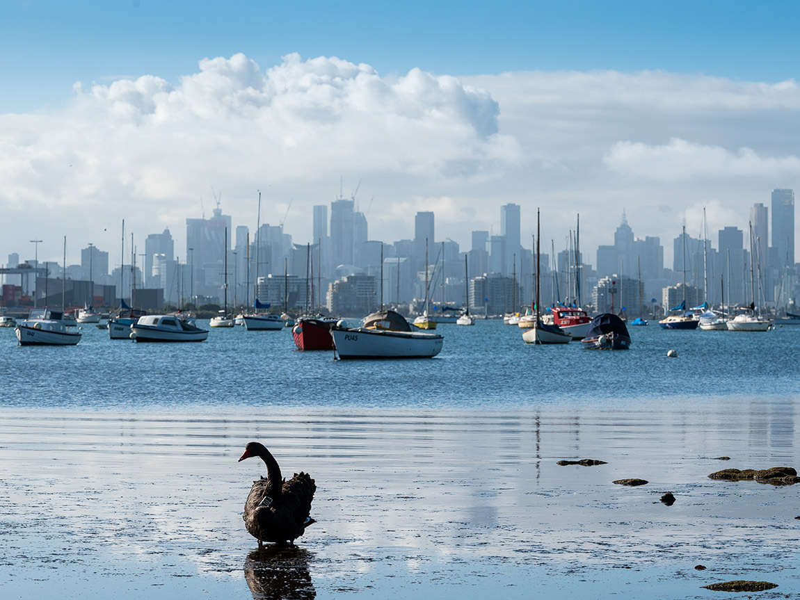 5 Free Things to Do in Williamstown, Victoria: Fun-Filled Day Trip Ideas