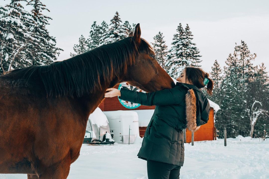 Mastering the Art of Horse Haltering Series part 2