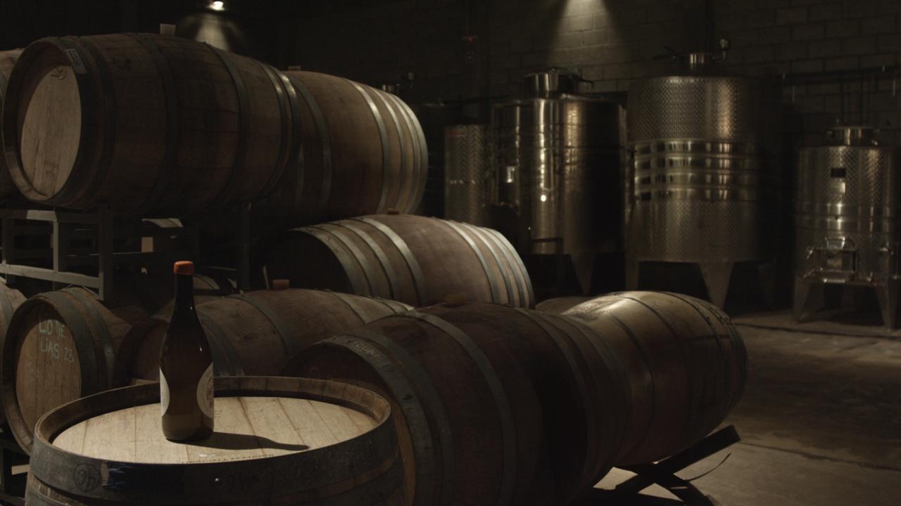 Compra #19: Antropo Wines