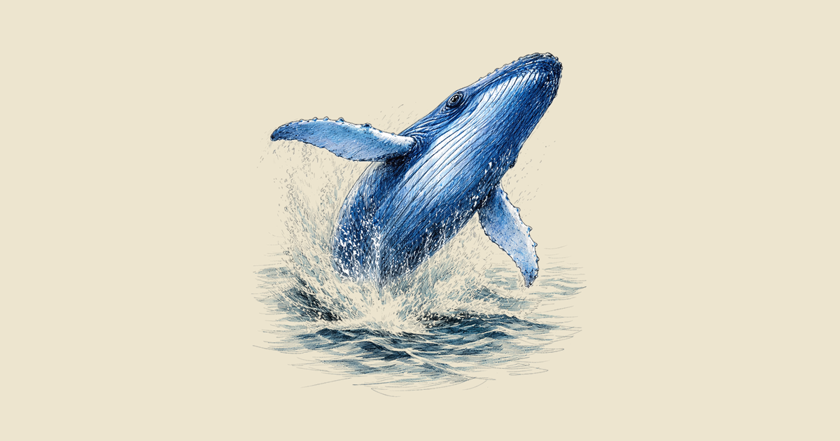 Whale Watching: What is driving the share price?