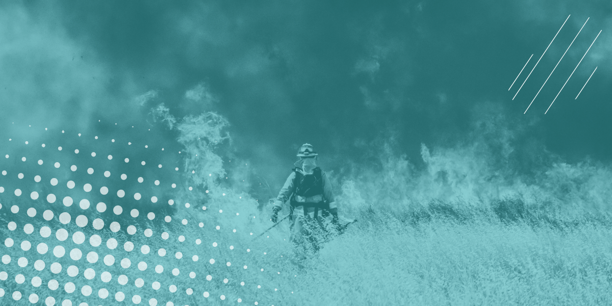 Wildfire Insurance Innovation, FEMA Resilience Grants Scrapped ...