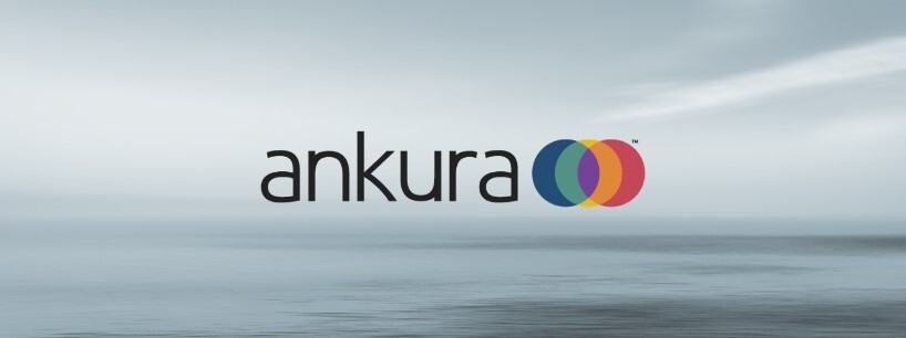 2024 promotions in the Ankura APAC Transactions, Turnaround and ...