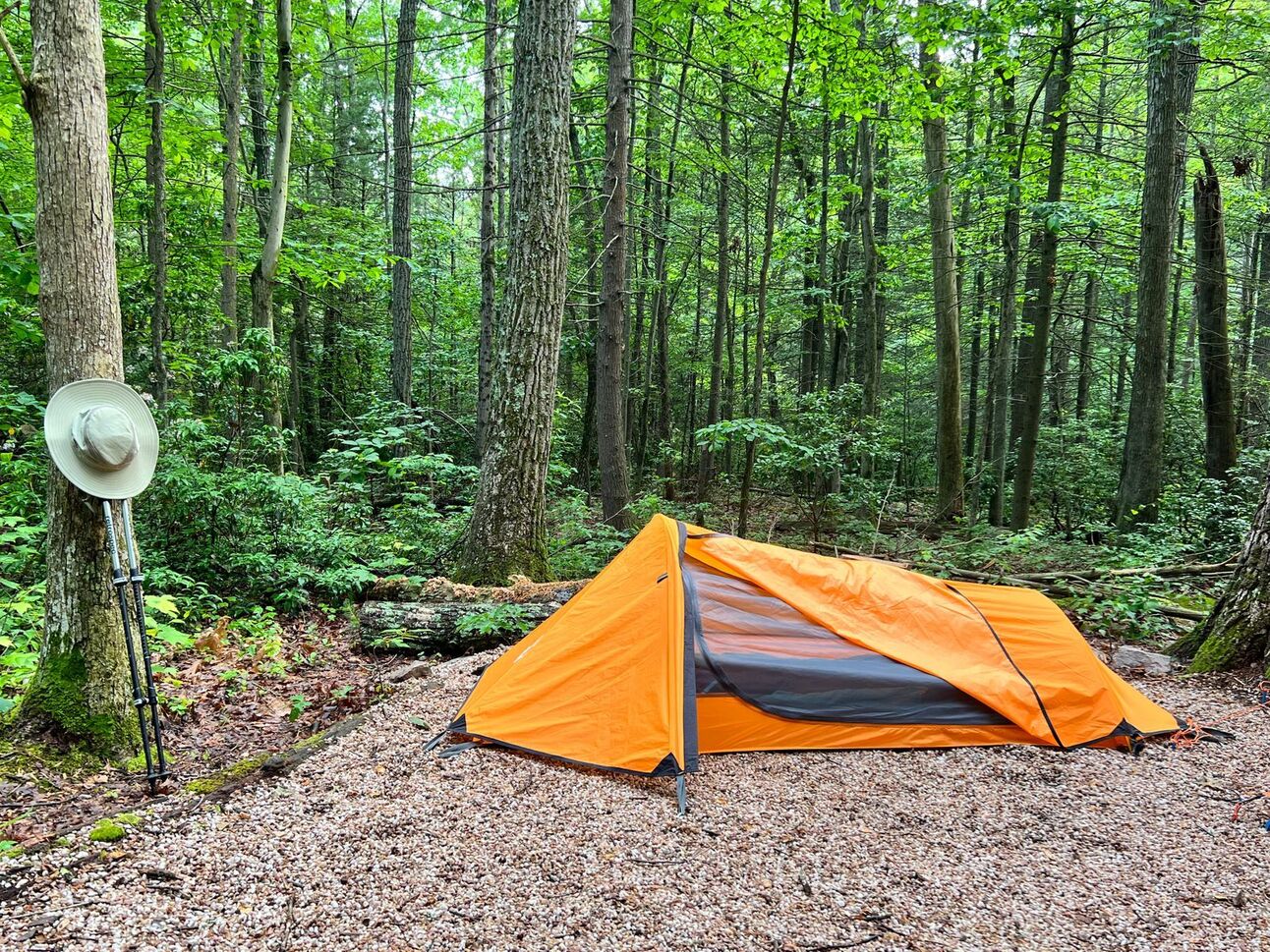 Gear Review: Survival Frog Solo Bivy 1-Person Tent