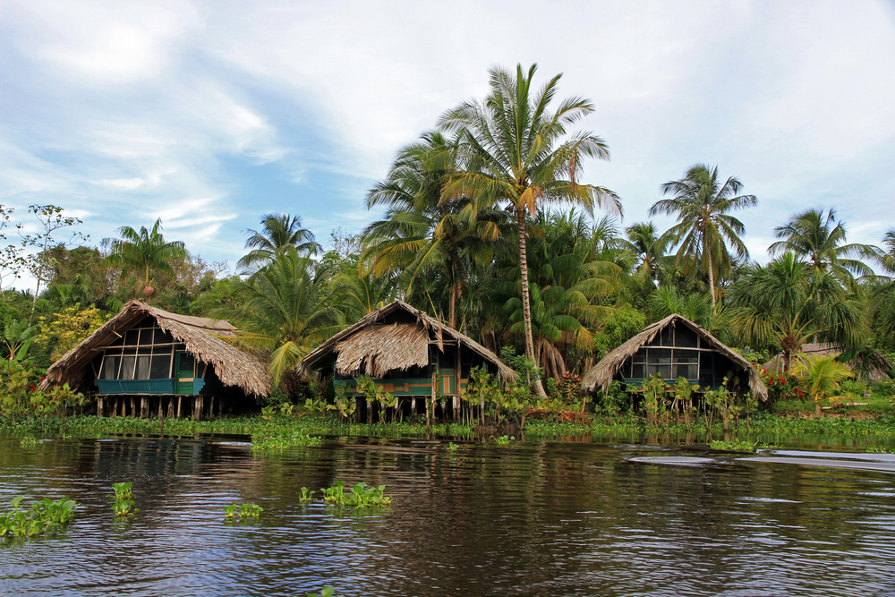 Not just in Brazil: deforestation also on the rise in Venezuelan Amazon