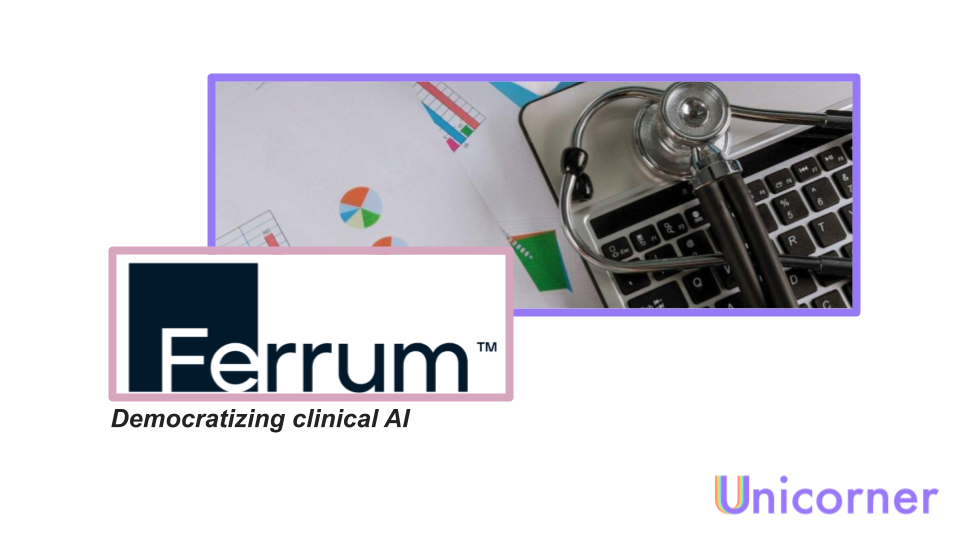 Ferrum Health: Democratizing Clinical AI for Safer Healthcare