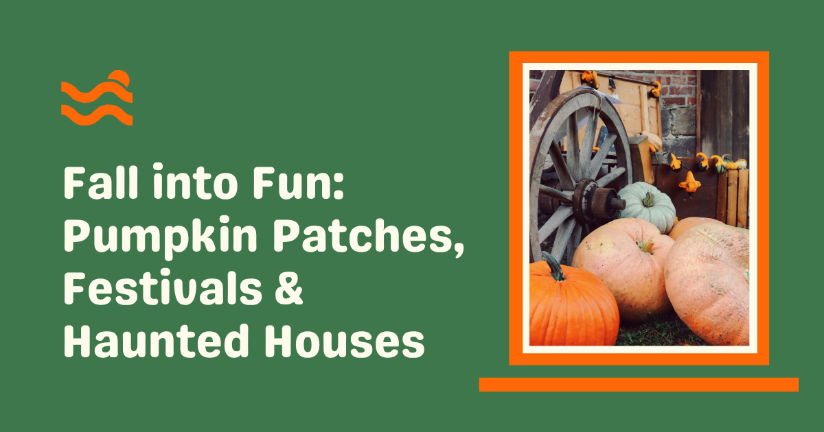 🎃 Fall Into Fun: Pumpkin Patches, Festivals & Haunted Houses