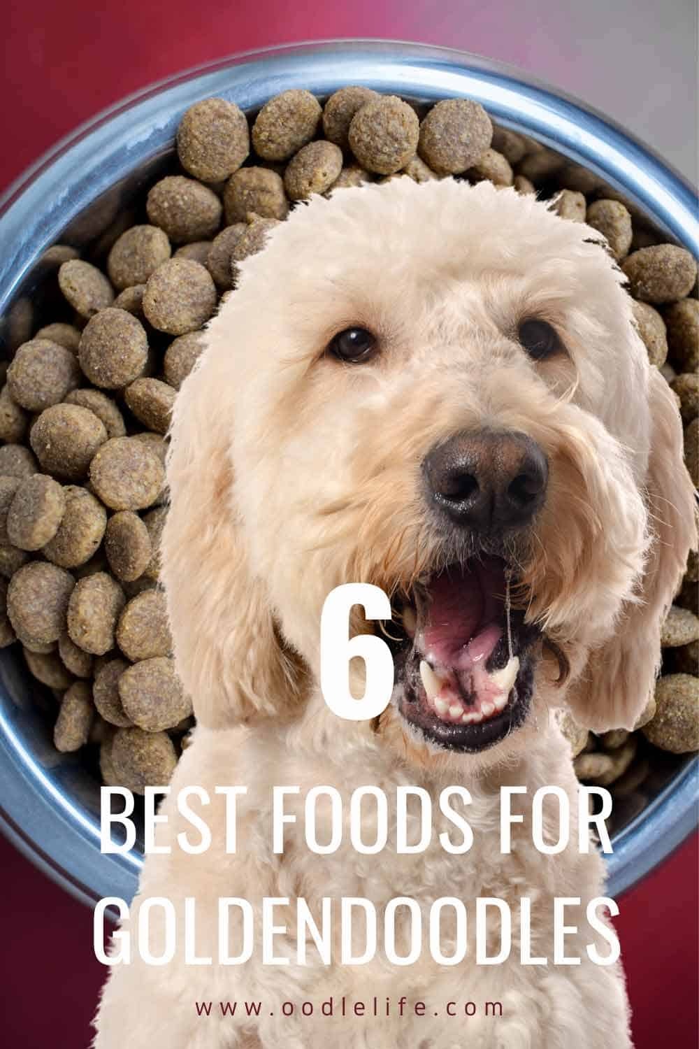 6 Best Foods for Goldendoodle Dogs Reviewed