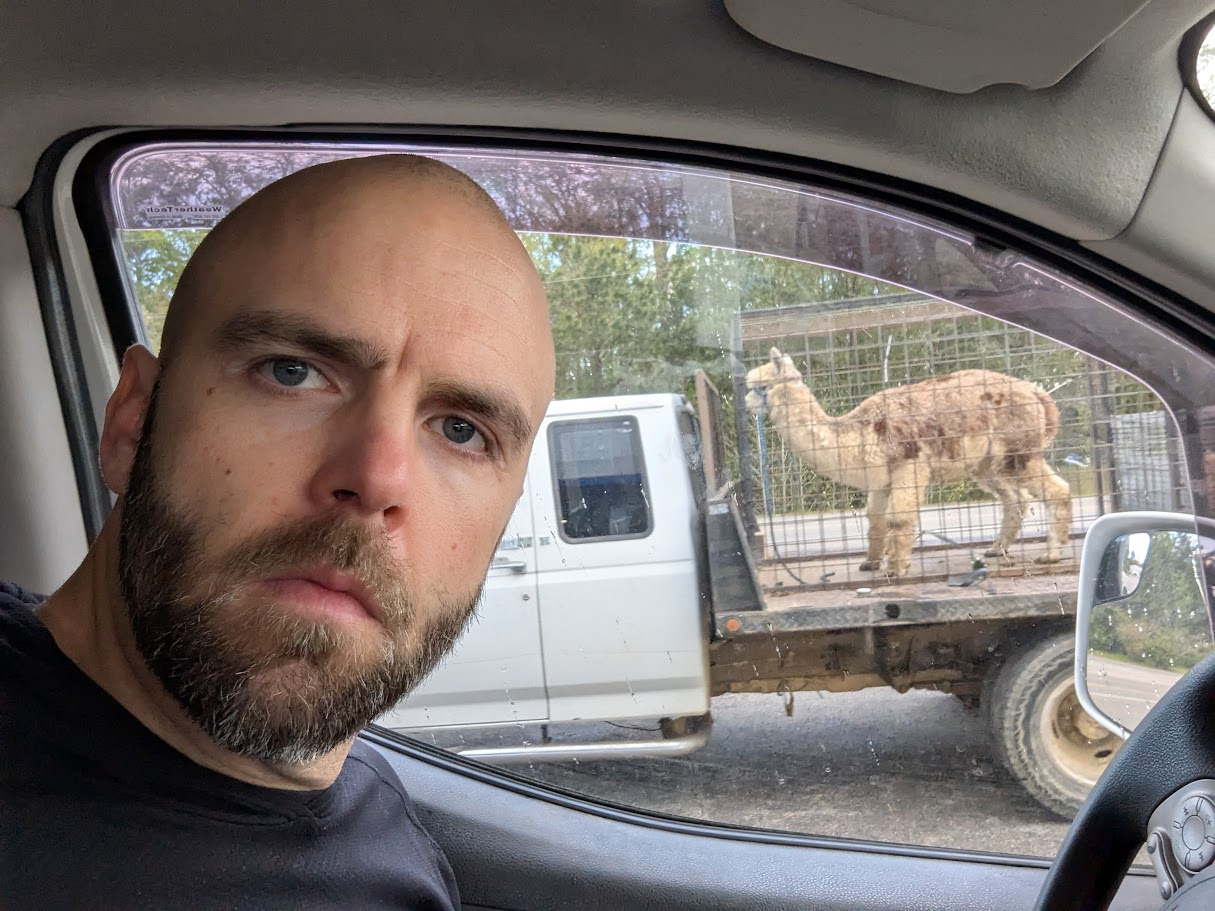 Working Remotely with Llamas 🦙