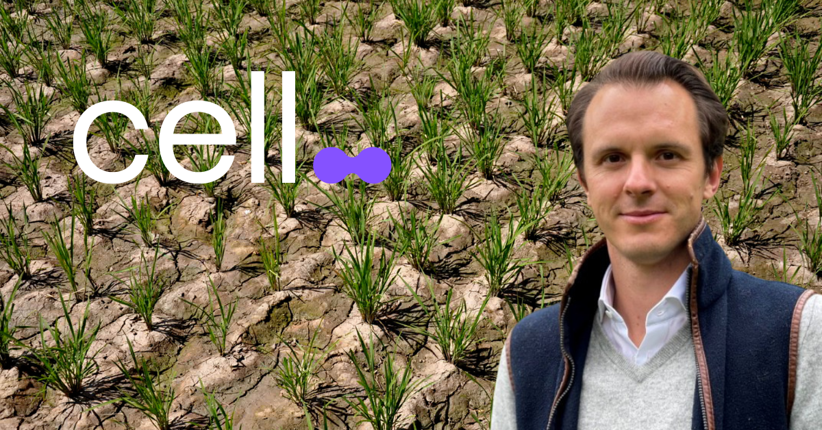 Decarbonizing rice cultivation - the next battle in sustainable ag