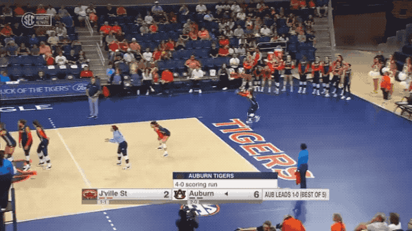 Bodda Getta Brew 8/28: Home Sweep Home